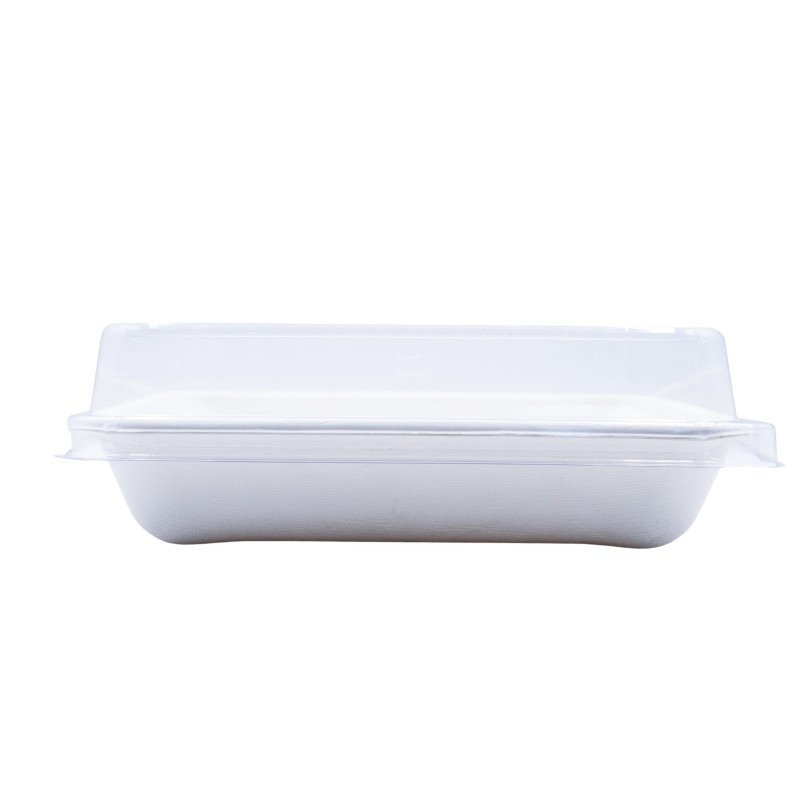 Envase 18x18cm caña de azucar + tapa PLA WORLDVIEW